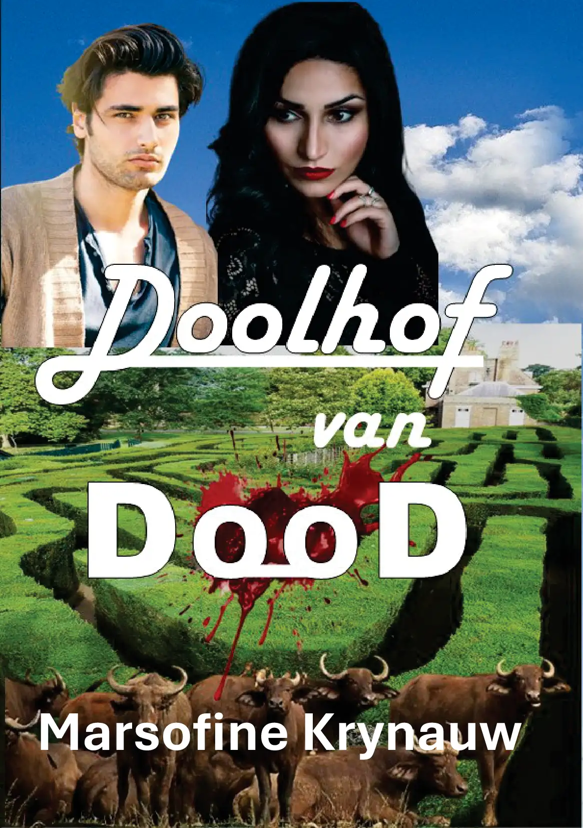 Doolhof van Dood | Malherbe Publishers